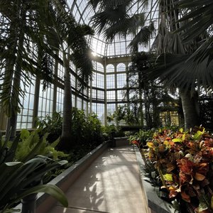 HOWARD PETERS RAWLINGS CONSERVATORY AND BOTANIC GARDENS - 458 Photos ...