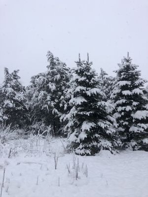 Nashotah, WI Map & Directions - MapQuest