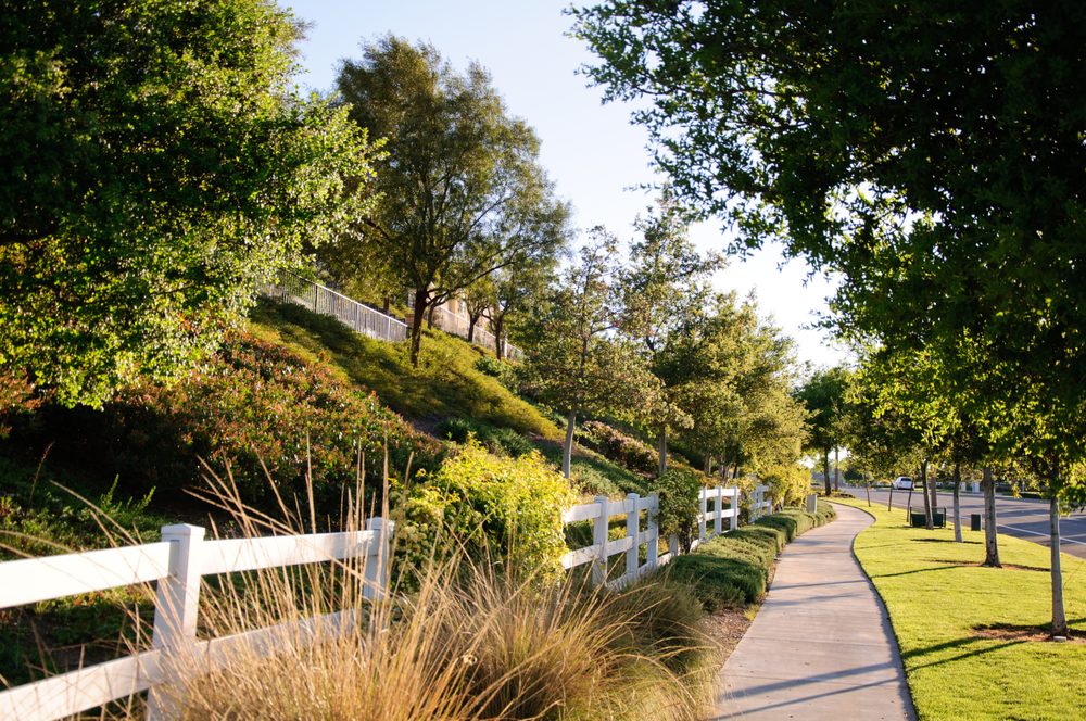 LAW OFFICE OF DAVID PIOTROWSKI - 19 Photos & 46 Reviews - 28005 Smyth ...