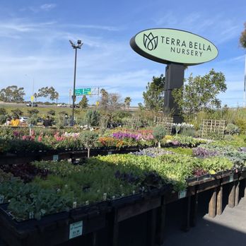 TERRA BELLA NURSERY - Updated May 2024 - 165 Photos & 33 Reviews - 3535 Camino Del Rio W, San ...