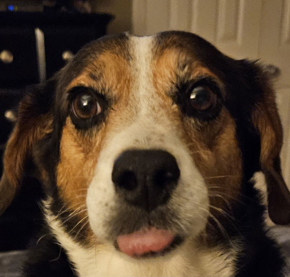 WAG-A-DOCHES - Updated January 2026 - 33 Photos - 115 N University Dr ...