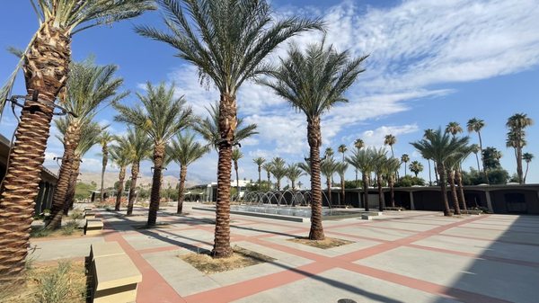 COLLEGE OF THE DESERT - Updated June 2025 - 38 Photos & 44 Reviews ...