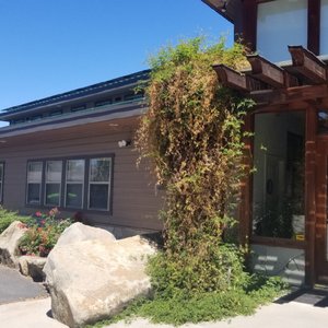 JACOB WESTER, MD - Updated June 2025 - 795 Morning Star Dr, Sonora ...