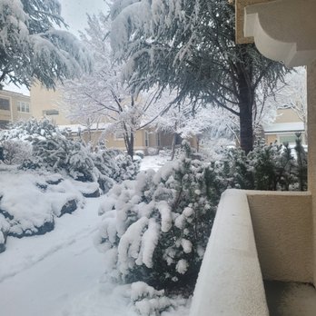 THE ALEXANDER - Updated January 2026 - 84 Photos & 85 Reviews - 11380 S ...