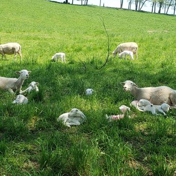 KINDERHOOK FARM - Updated September 2025 - 49 Photos & 10 Reviews ...