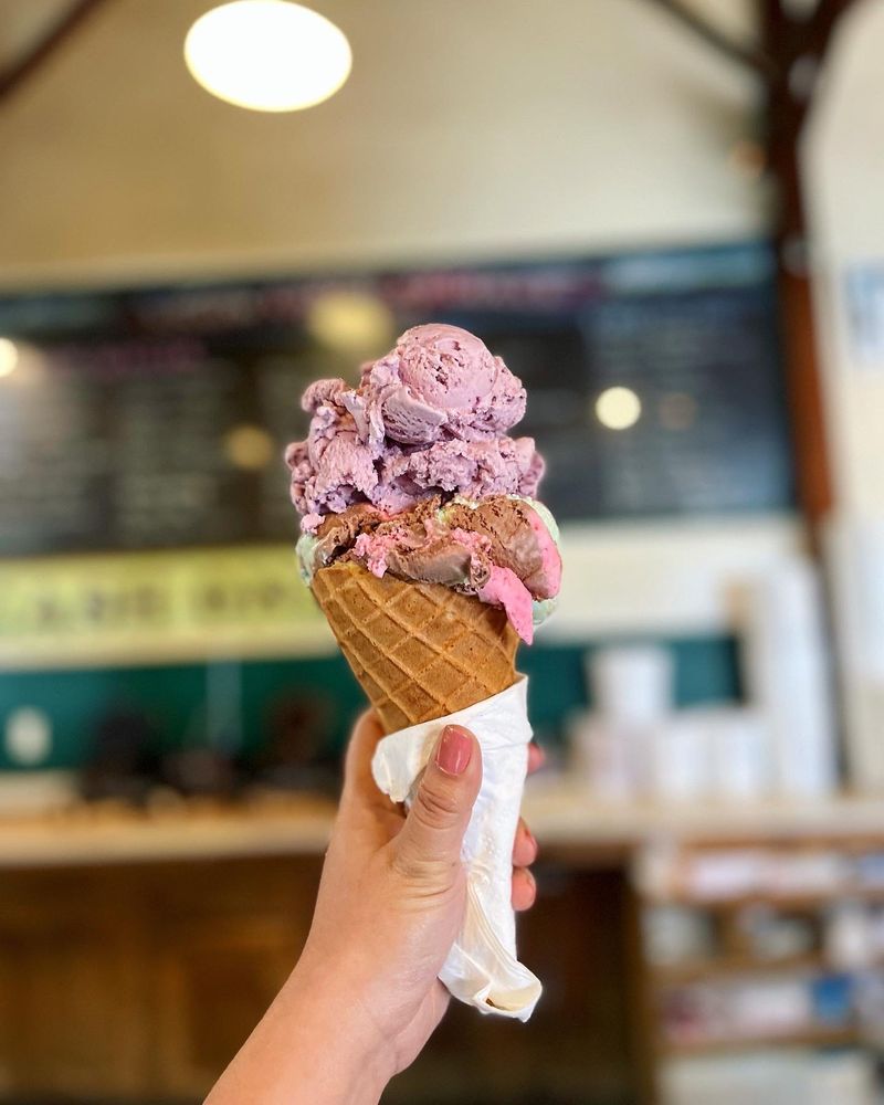 SNOW GOOSE PRODUCE - 382 Photos & 183 Reviews - 15170 Fir Island Rd ...