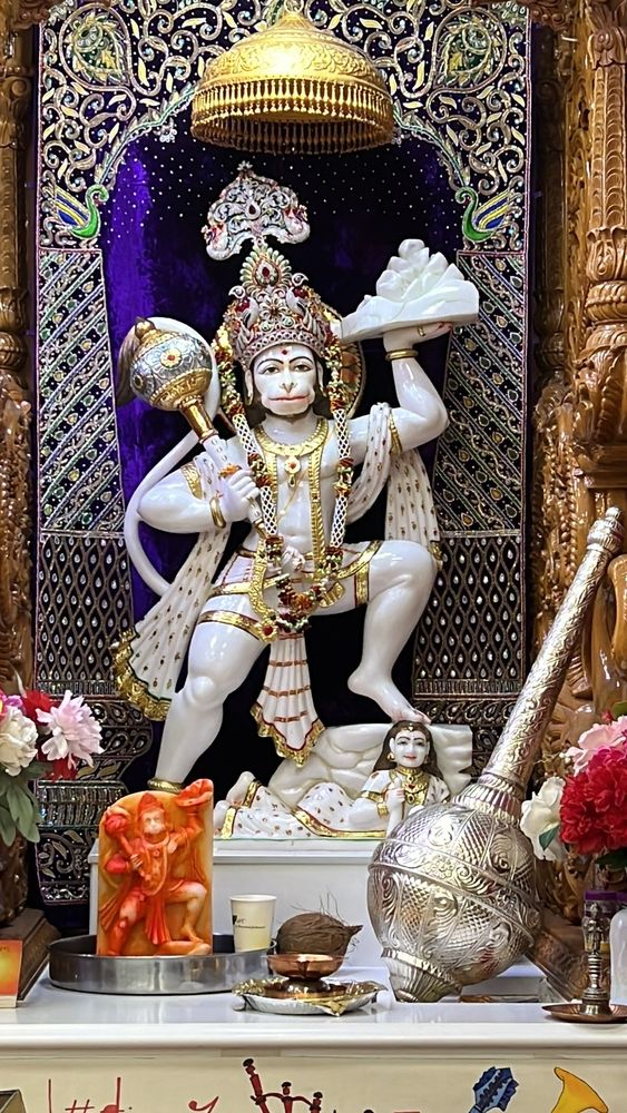 SHREE SWAMINARAYAN TEMPLE - Updated June 2024 - 35 Photos - 1521 N Rand ...