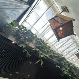 RVR VENICE - Updated December 2025 - 488 Photos & 158 Reviews - 1305 ...