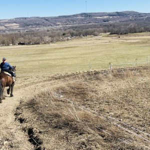 ONEIDA LAKE BOAT RENTALS - 15 Photos & 12 Reviews - 812 State Rt 49 ...
