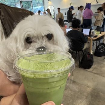 STAGGER COFFEE - Updated April 2025 - 803 Photos & 349 Reviews - 3069 W ...