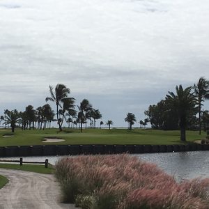 MYAKKA PINES GOLF CLUB - Updated May 2025 - 23 Photos & 16 Reviews ...