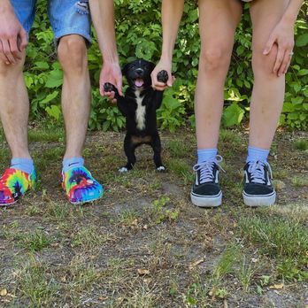 PAWSAFE ANIMAL RESCUE - Updated December 2025 - 18 Photos & 13 Reviews ...