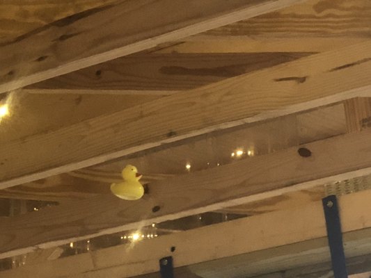 DUCK INN TAPROOM - Updated October 2025 - 31 Photos & 45 Reviews - 532 ...