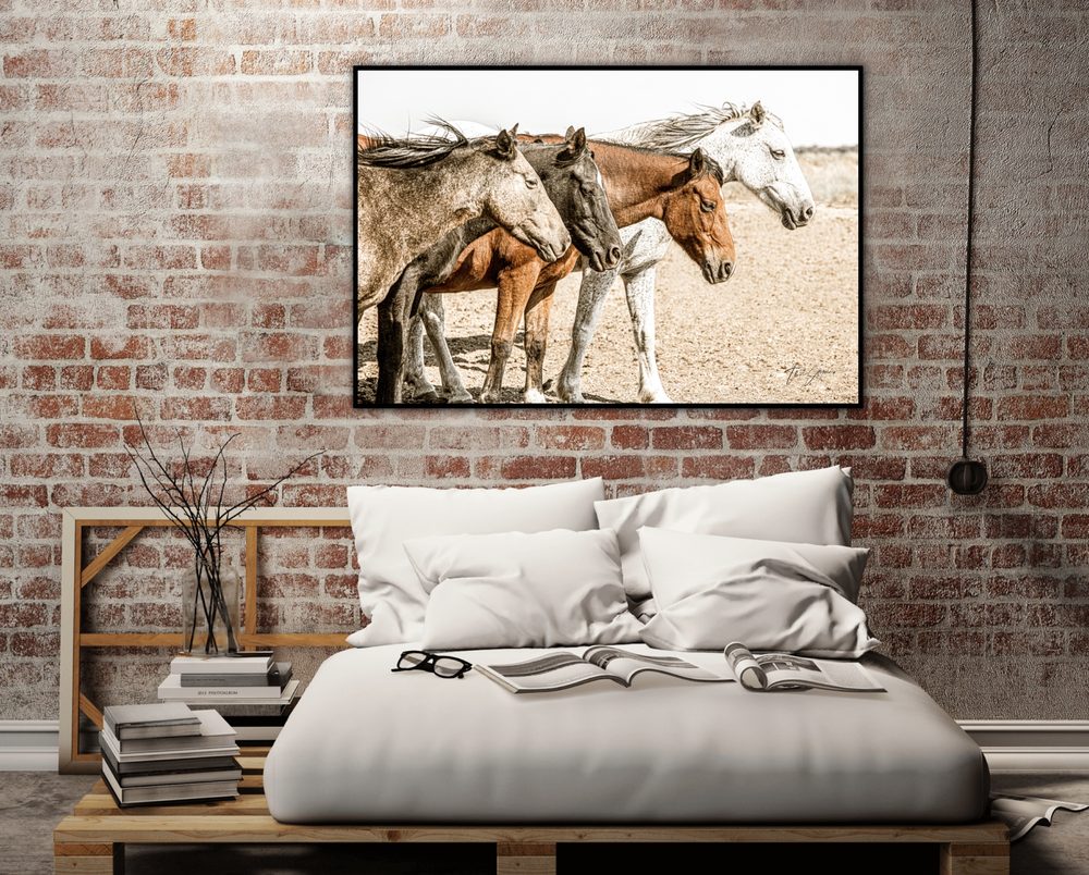 TERI JAMES PHOTOGRAPHY - Updated June 2024 - Request a Quote - 21400 ...