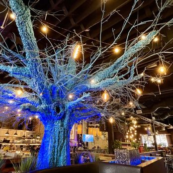 ANGRY CACTUS - Updated August 2024 - 299 Photos & 310 Reviews - 1 W ...