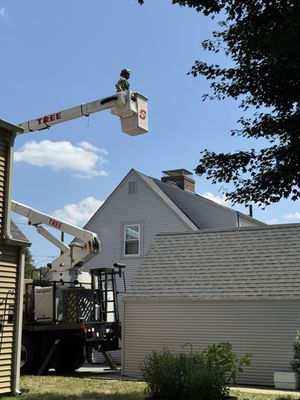 STANLEY TREE SERVICE - Updated October 2025 - 16 Photos & 59 Reviews ...