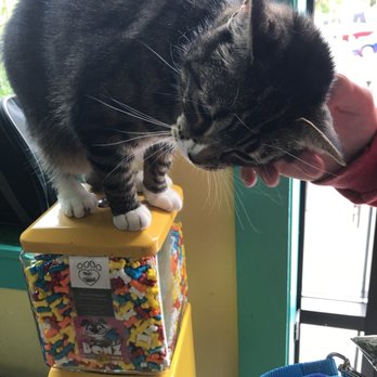 URBAN TAILS PET SUPPLY - Updated February 2025 - 63 Photos & 70 Reviews ...