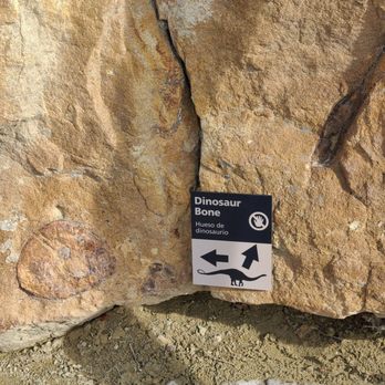 DINOSAUR RIDGE - Updated August 2024 - 526 Photos & 174 Reviews - 16831 ...