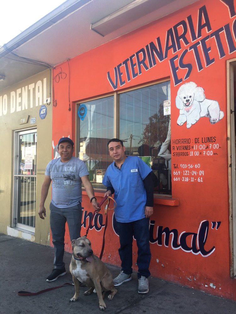 REINO ANIMAL - Updated February 2025 - Calle Allende 9, Tijuana, Baja ...