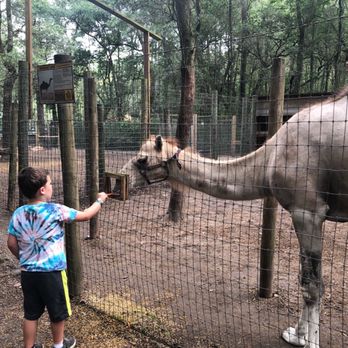 BEE CITY ZOO - Updated July 2024 - 375 Photos & 105 Reviews - 1066 ...