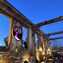 MADTREE BREWING - Updated July 2025 - 796 Photos & 664 Reviews - 3301 ...