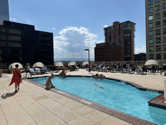 THE WESTIN DENVER DOWNTOWN - Updated September 2025 - 317 Photos & 335 ...