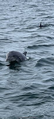 OC ROCKET - Updated December 2025 - 18 Photos & 33 Reviews - 312 Talbot ...