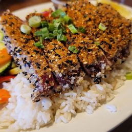 SPIKE’S FISH HOUSE - Updated January 2025 - 311 Photos & 409 Reviews ...