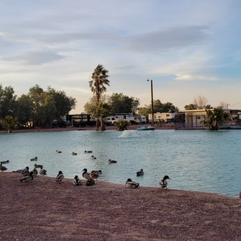 NEWBERRY MOUNTAIN RV PARK & MOTEL - Updated October 2025 - 37 Photos ...