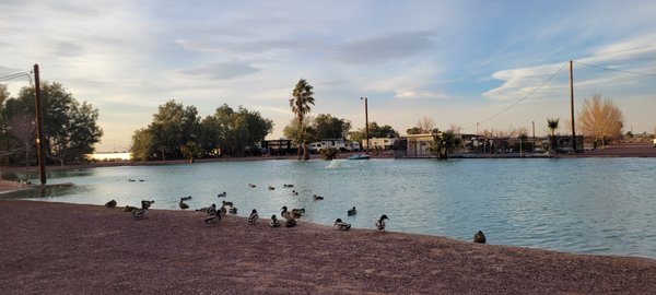 NEWBERRY MOUNTAIN RV PARK & MOTEL - Updated October 2025 - 37 Photos ...