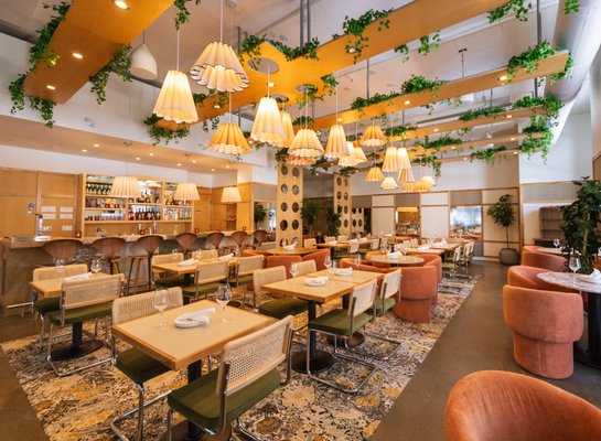 CAFÉ ZUZU - 63 Photos & 16 Reviews - 555 Dundas Street E, Toronto ...