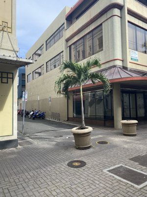 SCARLET HONOLULU - Updated February 2025 - 148 Photos & 155 Reviews ...