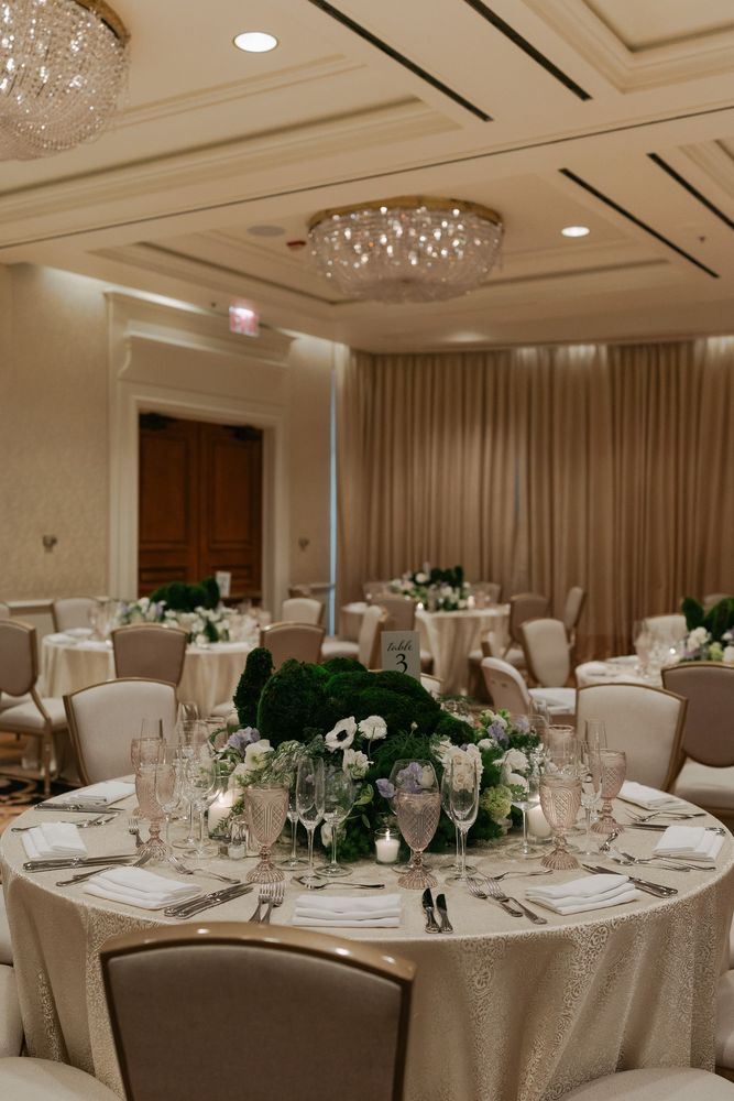 DAVID PRESSMAN EVENTS - Updated July 2025 - 37 Photos & 11 Reviews ...