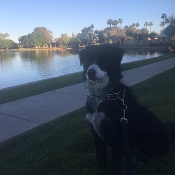 DOBSON RANCH PARK - Updated November 2025 - 236 Photos & 20 Reviews ...