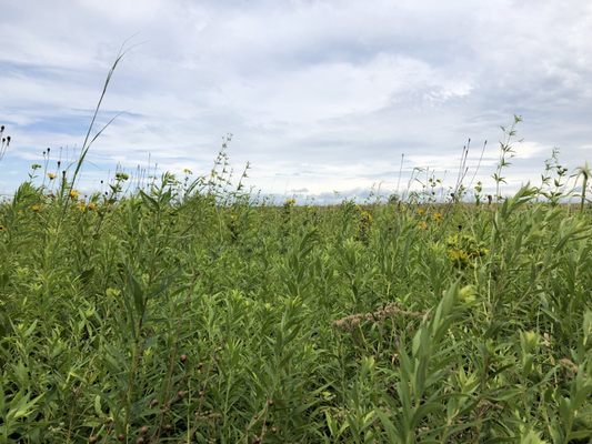 DOUGLAS-HART NATURE CENTER - Updated March 2025 - 11 Photos - 2204 ...