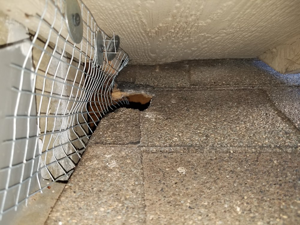 SKUNK BAIT WILDLIFE CONTROL - Updated February 2025 - 15 Photos - 3274 ...