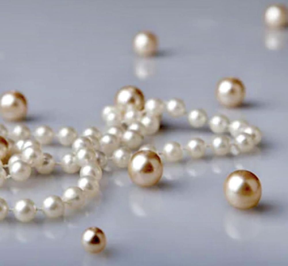 SOUTHERN PEARL OF NORTH CAROLINA - Updated January 2026 - 3241 US Hwy ...