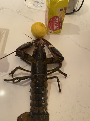 PROFISH - Updated December 2025 - 1900 Fenwick St NE, Washington ...