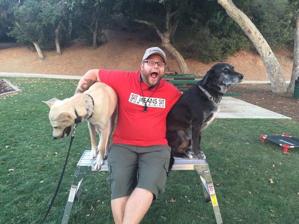 SIT MEANS SIT SAN GABRIEL VALLEY - Updated October 2025 - 167 Photos ...