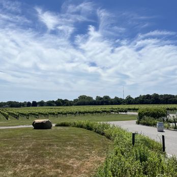 KONTOKOSTA WINERY - Updated August 2024 - 546 Photos & 323 Reviews - 825 North Rd, Greenport ...