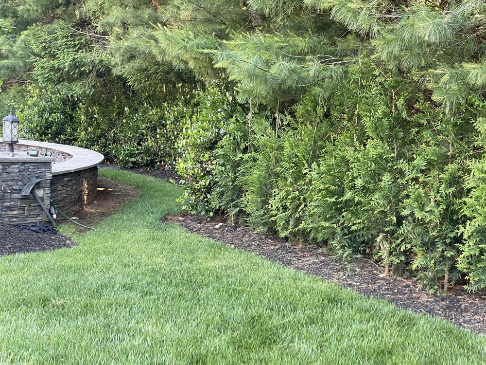 PRIVACY KINGS - Updated October 2025 - Request a Quote - Oceanport, New ...