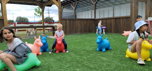 DON-O-RAY FARM ADVENTURE - Updated December 2025 - 19 Photos - 3443 ...