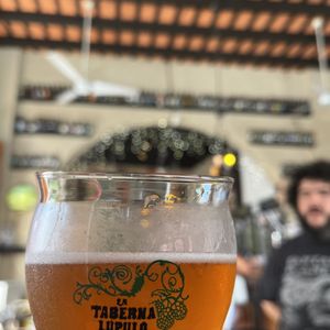 LA TABERNA LÚPULO - 461 Photos & 350 Reviews - 151 Calle San Sebastian ...