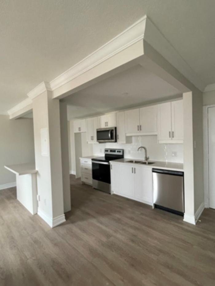 RENO RAIDERS - Updated December 2025 - Request Consultation - 12 Photos ...