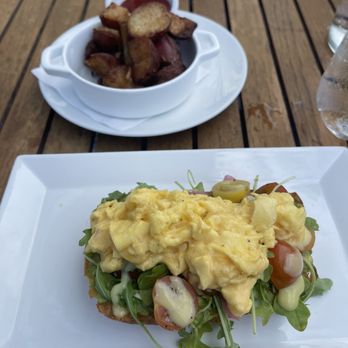 THE LIBRARY - 1921 Photos & 977 Reviews - 600 5th St S, St Petersburg ...