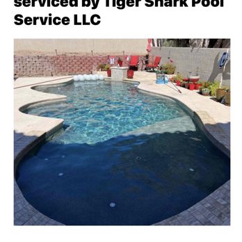 TIGER SHARK POOL SERVICE - Updated October 2025 - 40 Photos & 33 ...