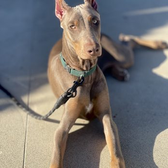 DR. BUTCHKO - Updated May 2024 - 42 Photos & 69 Reviews - 5448 Mission ...