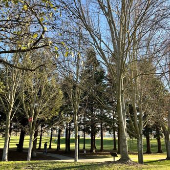 SAN RAMON CENTRAL PARK - Updated July 2025 - 249 Photos & 108 Reviews ...