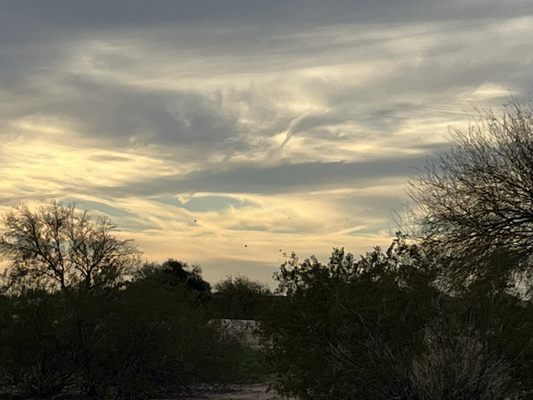 WILDFIRE GOLF CLUB - Updated August 2024 - 67 Photos & 37 Reviews ...