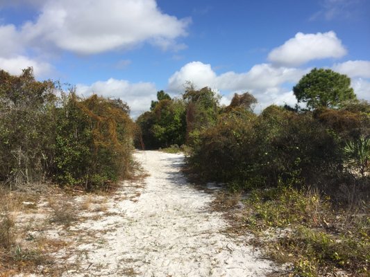 HYPOLUXO SCRUB NATURAL AREA - Updated March 2025 - 143 Photos & 10 ...